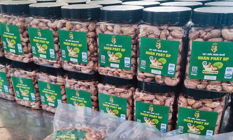 Vietnamese cashew nuts: exports generating billions of dollars each ...